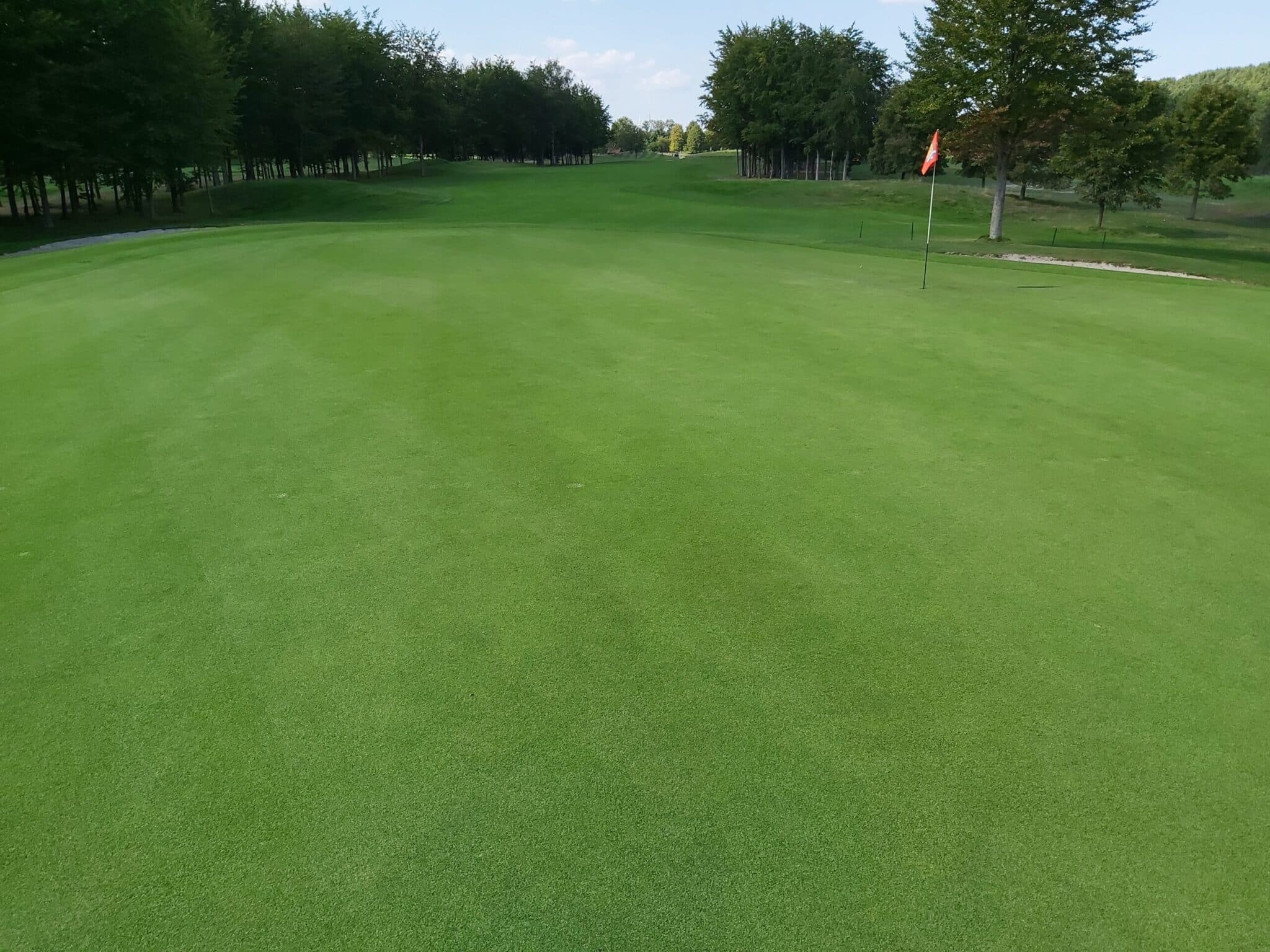 The 5 Basic Rules for Spring Fertilization Turfgrass - Mivena ...